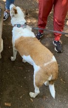 Current Members – Martin Head-Gordon Group